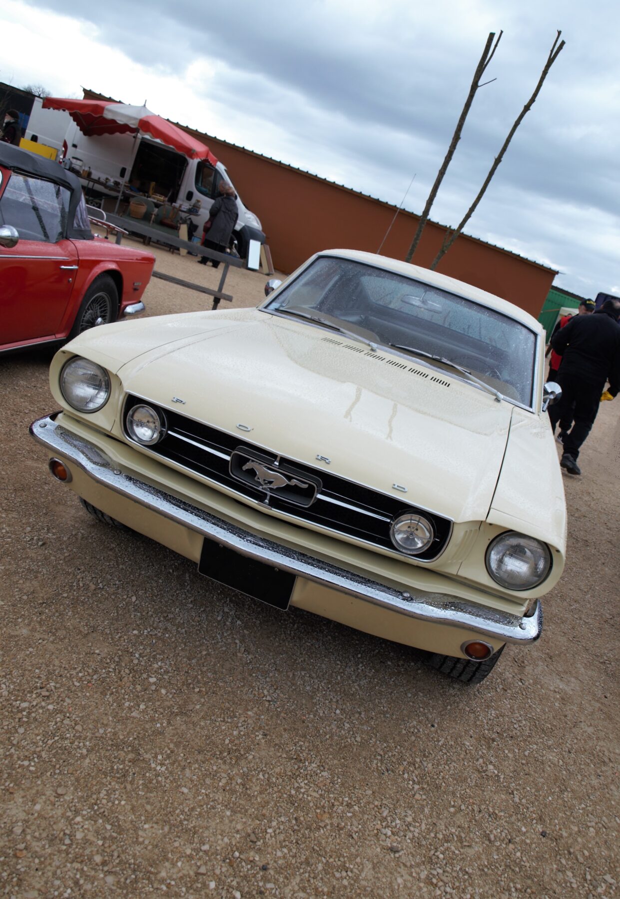 Mustang et MG au village des brocanteurs le 11 mars • Chine & Puces
